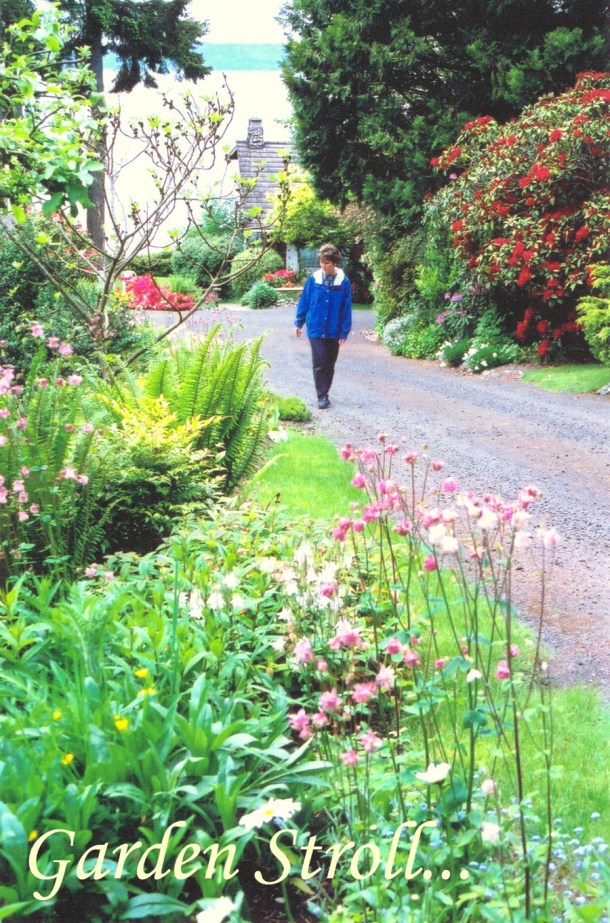 Photos | Bayside Bungalow Tiny House Vacation Rental